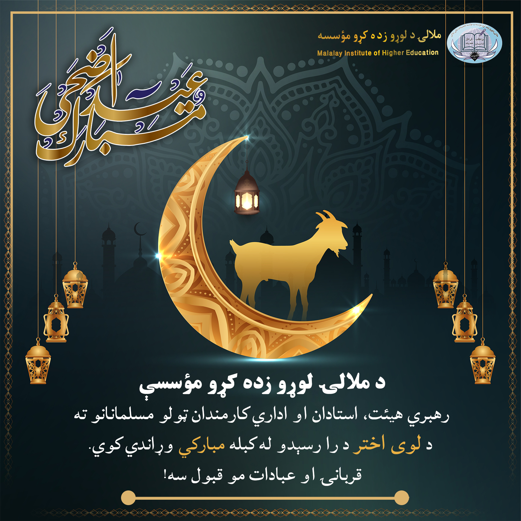 ملالۍ د لوړو زده کړو مؤسسه